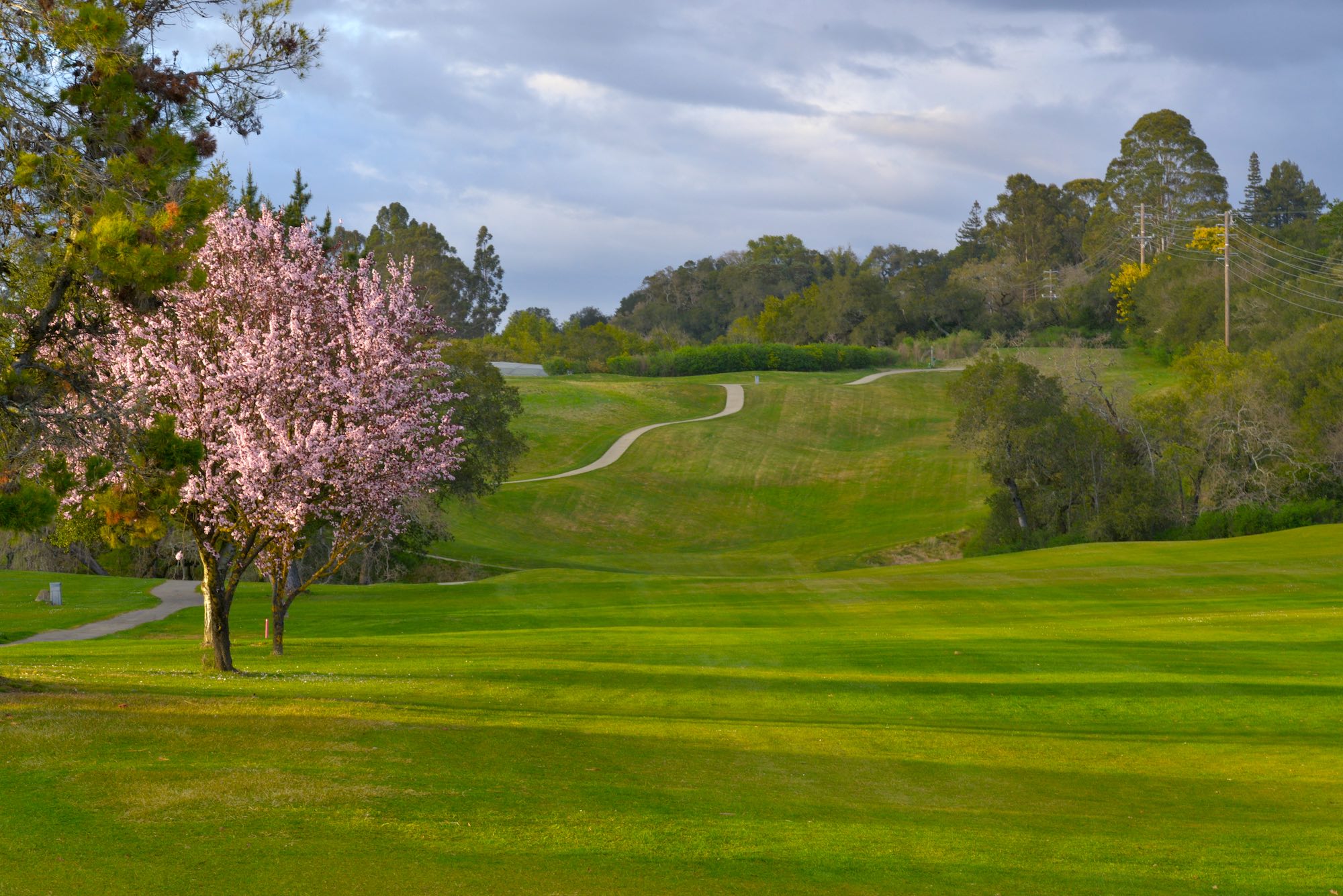Just in Case You Need an Excuse to Tee it Up This Weekend - Healdsburg ...